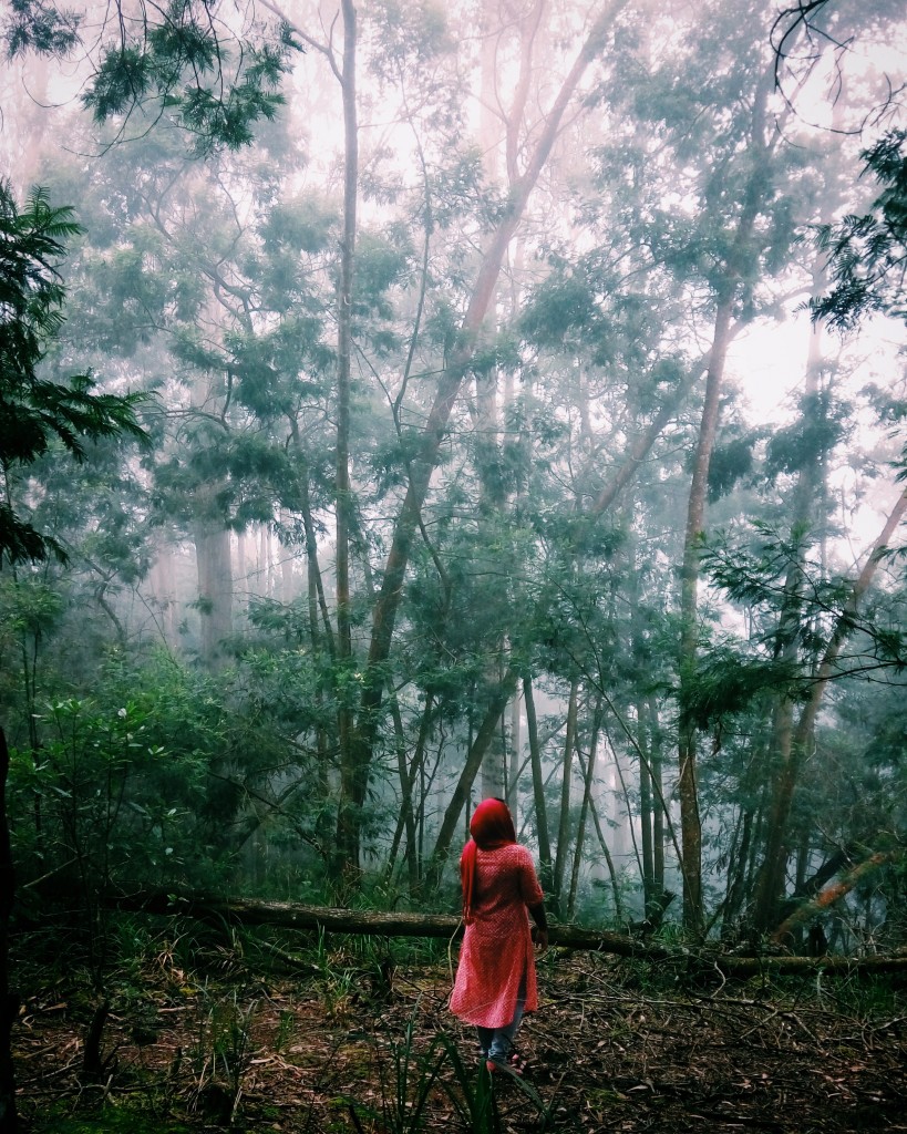 A woman in pine forest - PixaHive