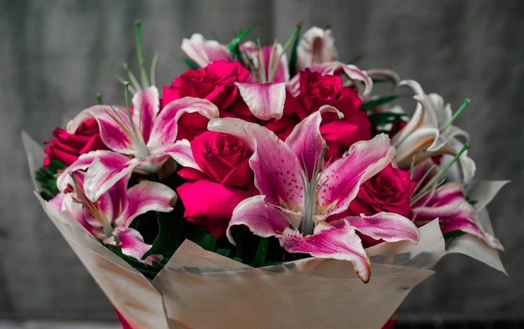 Beautiful Buke - PixaHive