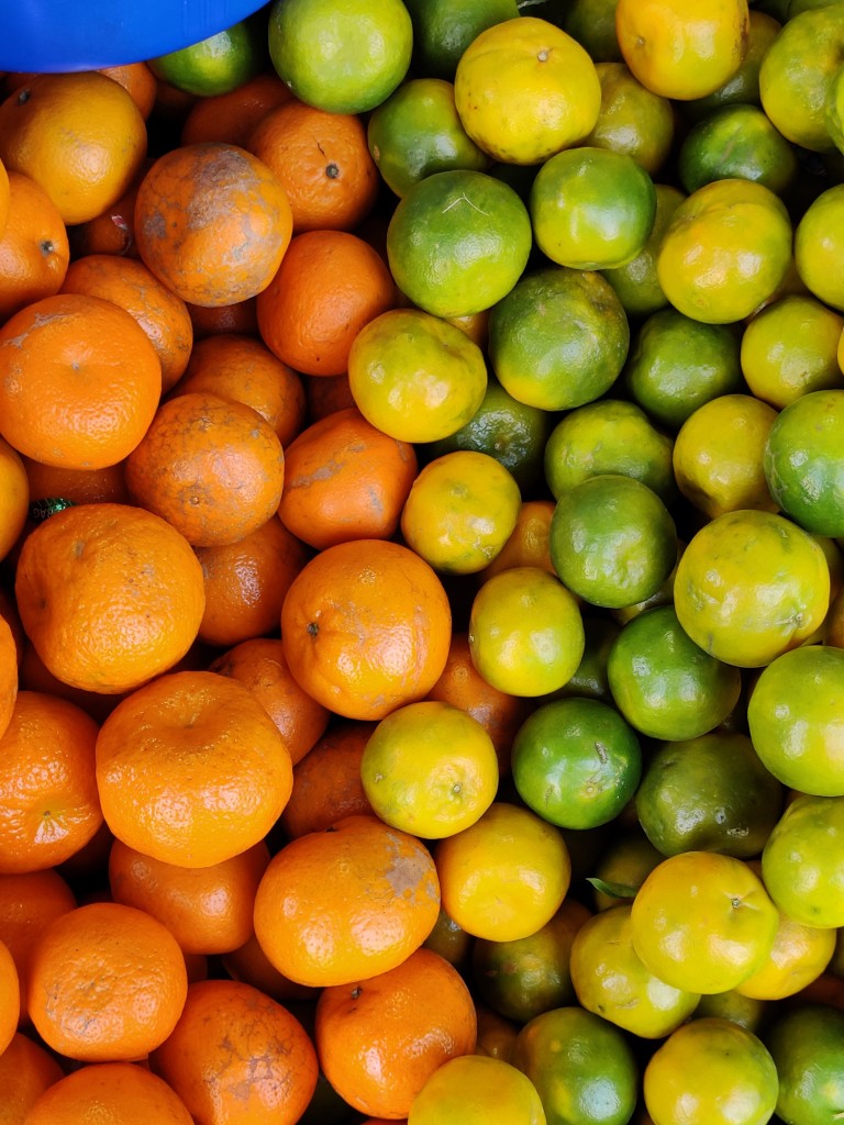 Citrus Fruits – Orange & Mousambi - PixaHive