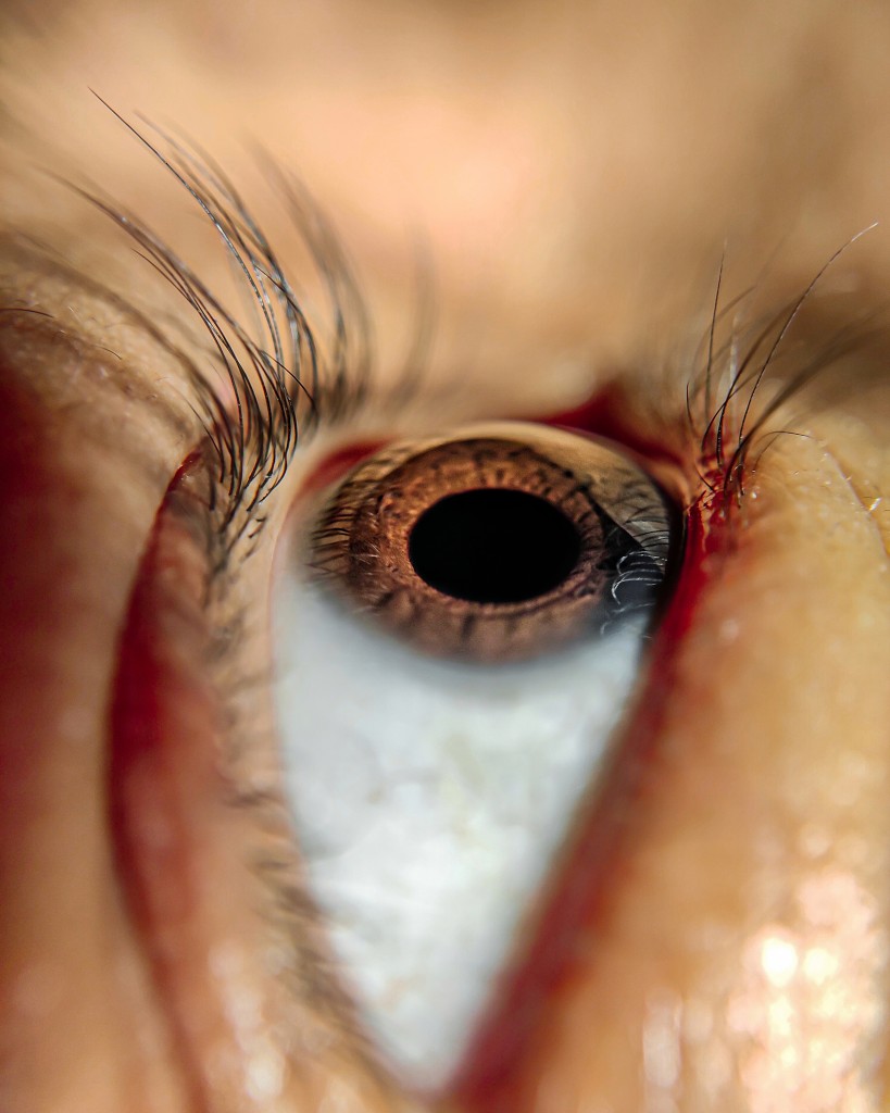 Close-up of a Human Eye - PixaHive