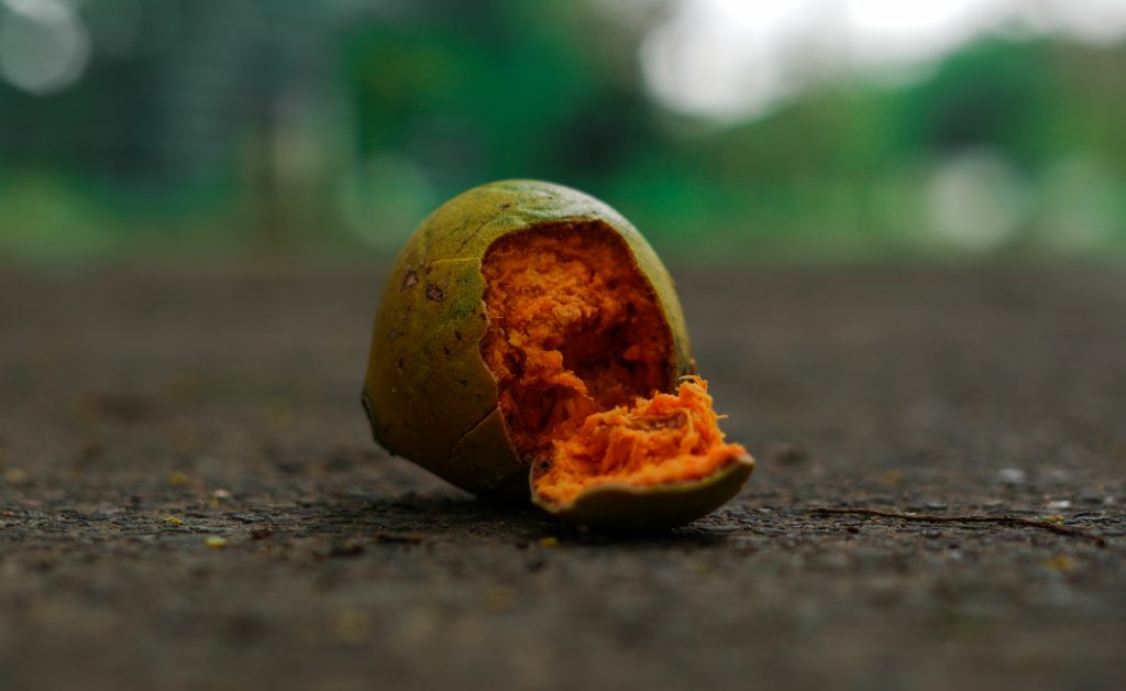 Cracked fruit - PixaHive