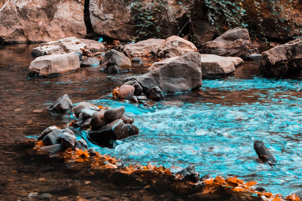 Dried leaves in the stream - PixaHive