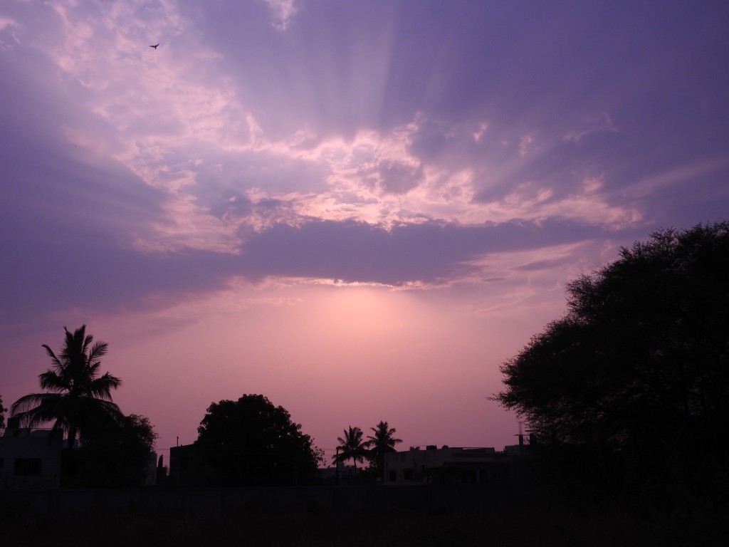 Evening time of a town - PixaHive