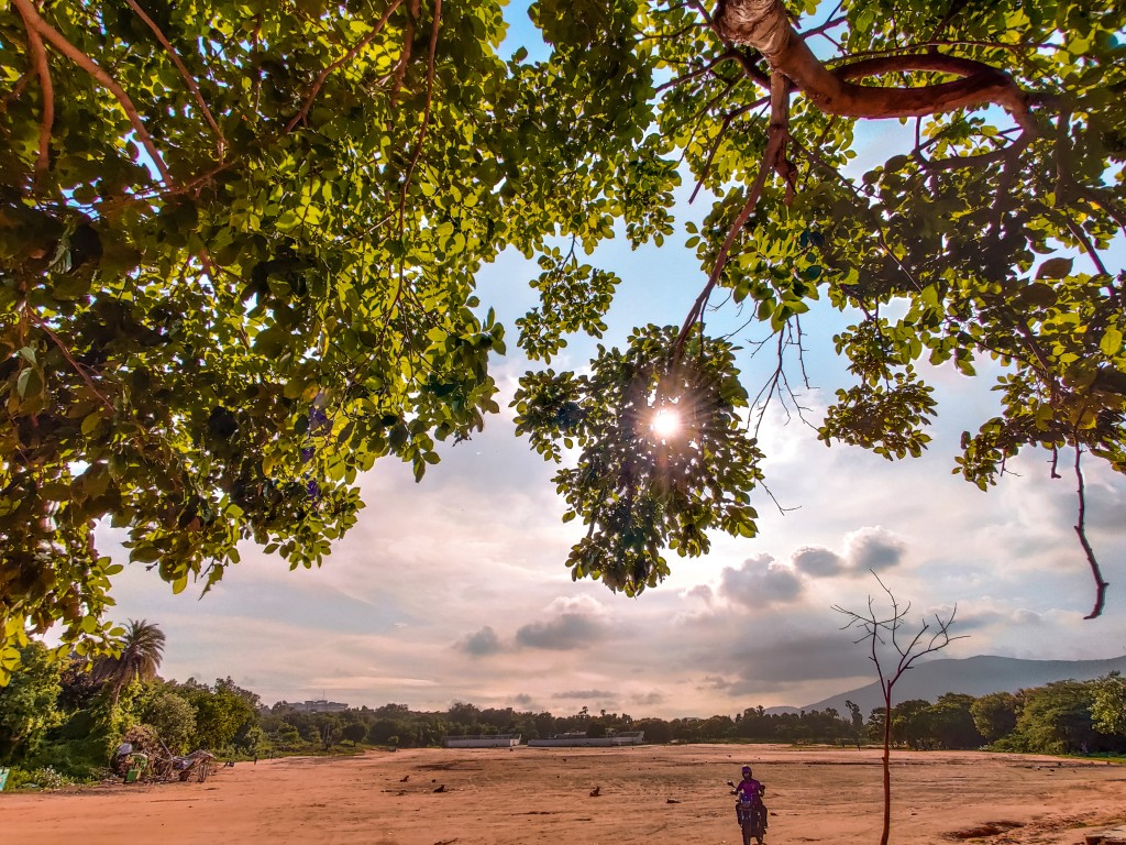 Falling Sunshine - PixaHive