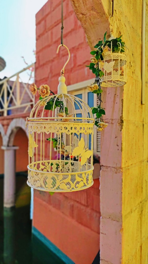 Fancy Bird cage - PixaHive
