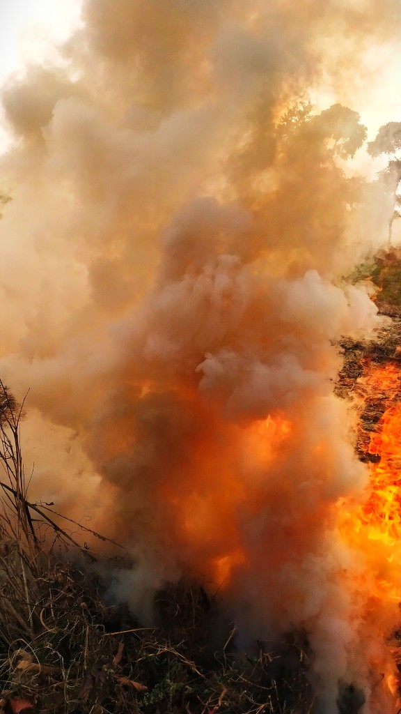 Fire & Smoke - PixaHive