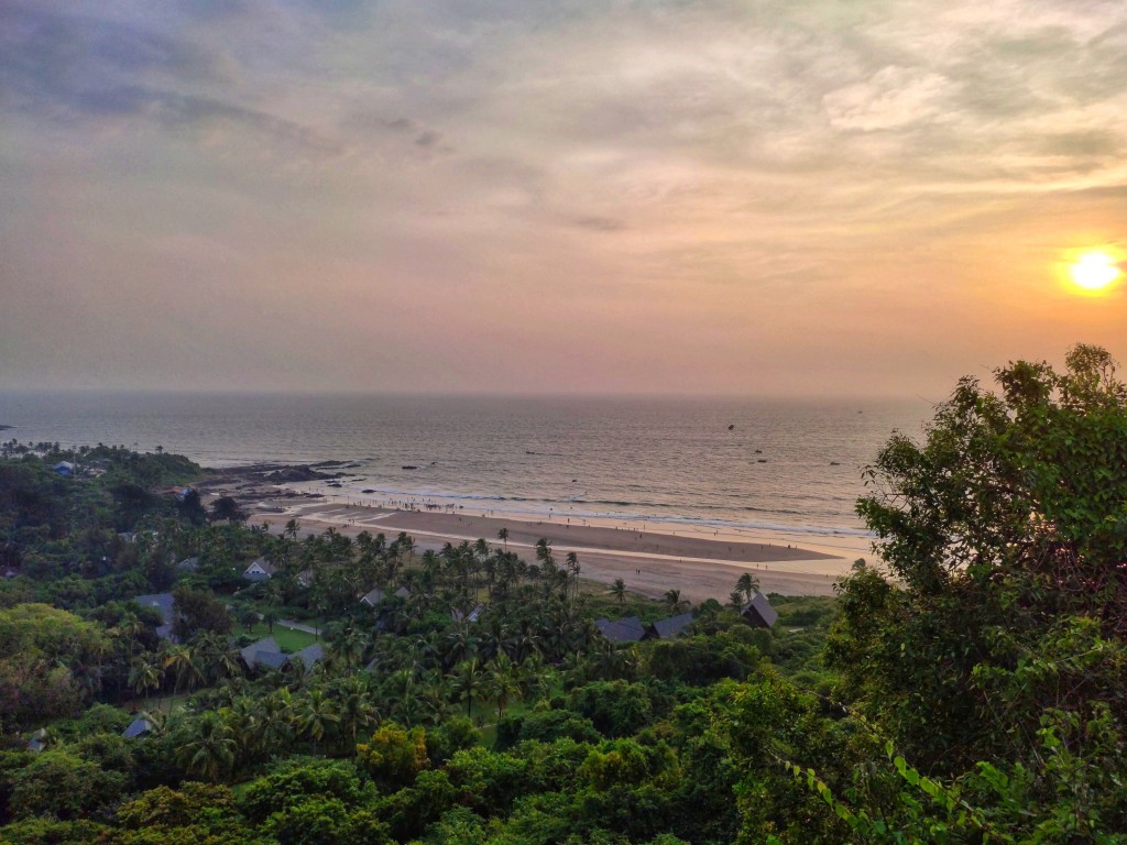 Forest and Beach Landscape - PixaHive