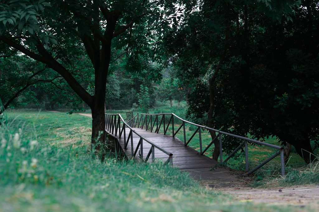 Garden Bridge - PixaHive