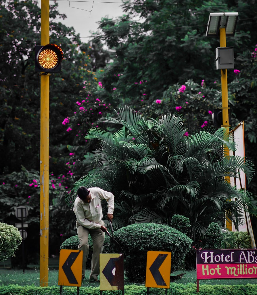 Gardener at work - PixaHive