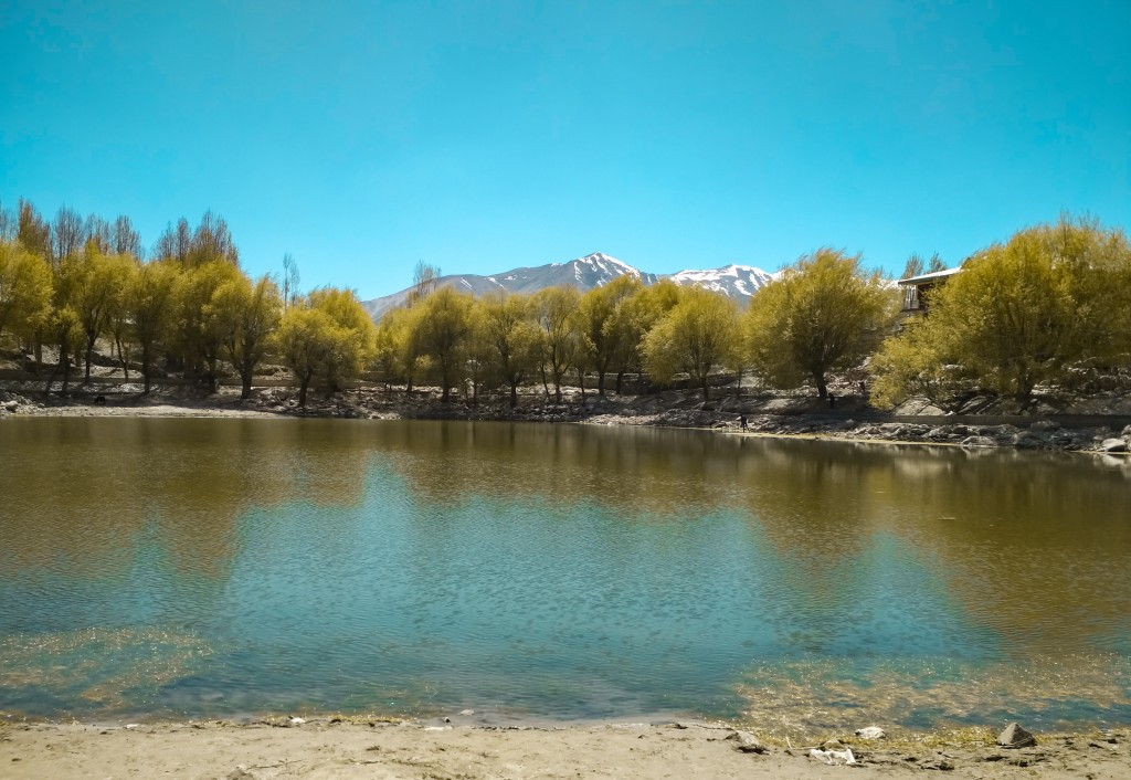 Snow Mountain with Blue Water and Trees - PixaHive