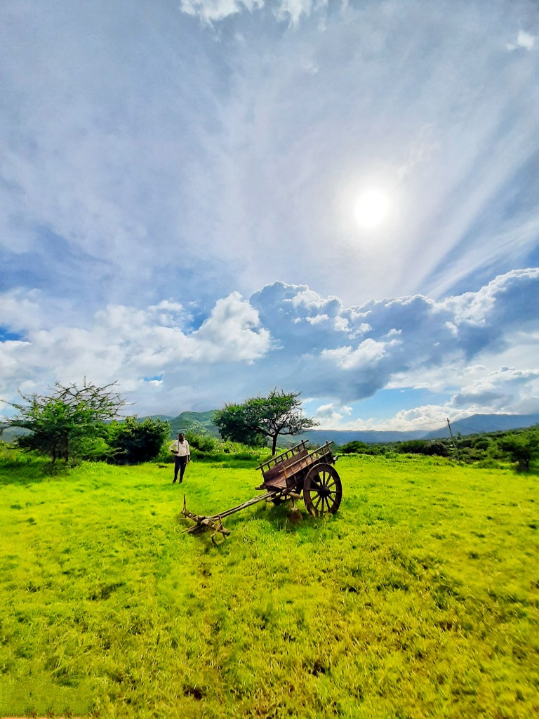 Man standing in a Natural landscape - PixaHive