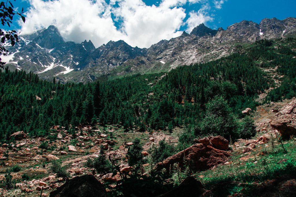 Mountains and trees - PixaHive