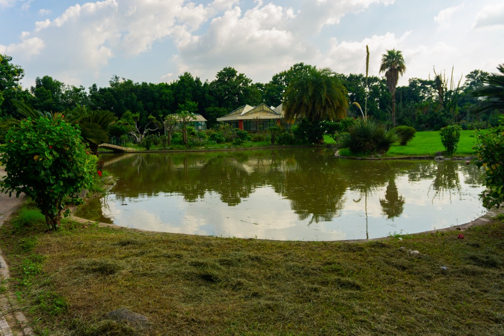 Pond in a farmhouse - PixaHive