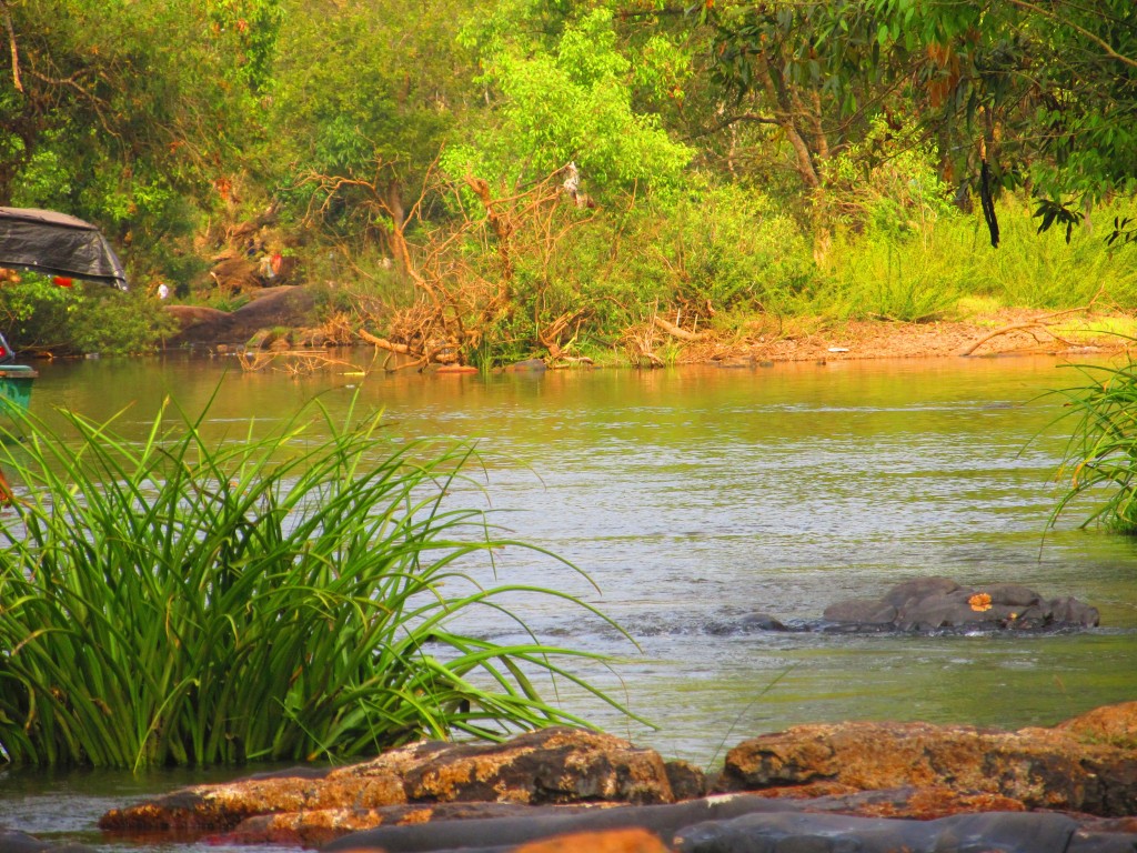 River Bank in the Forest - PixaHive