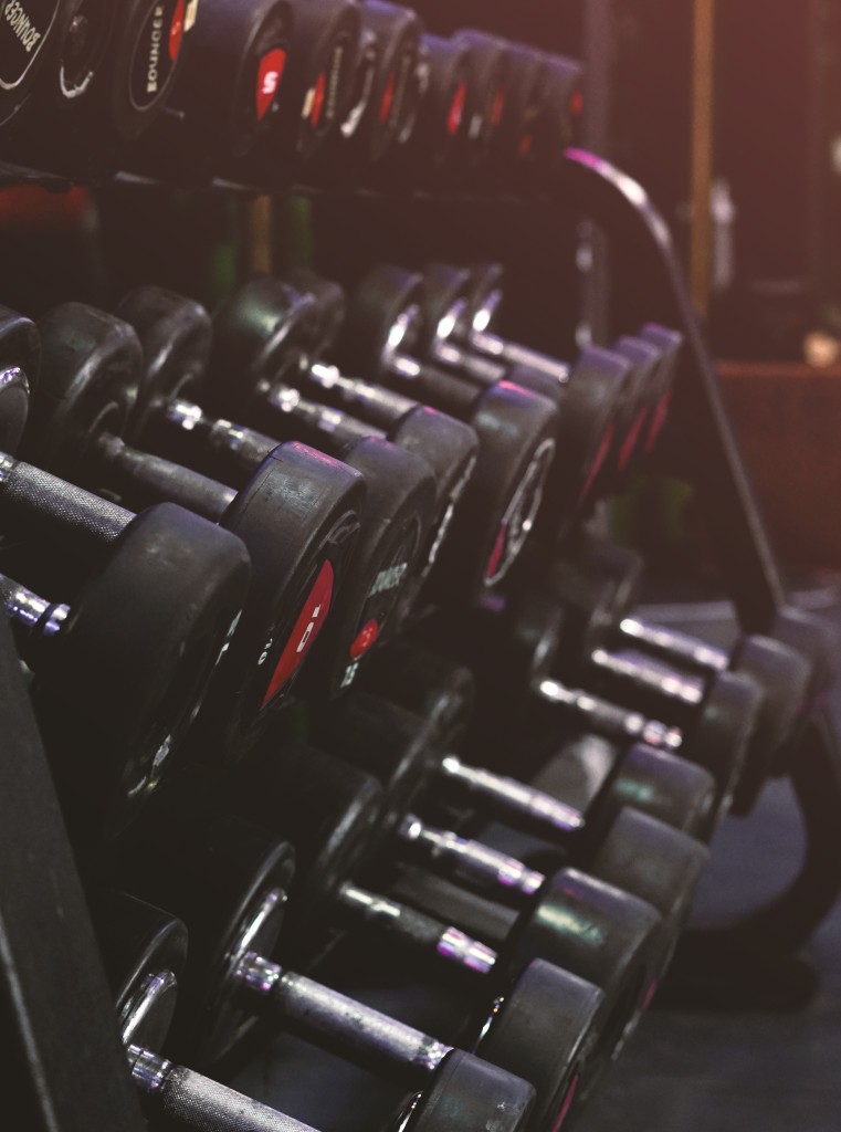 Rows of Metal Dumbbells in the Gym - PixaHive