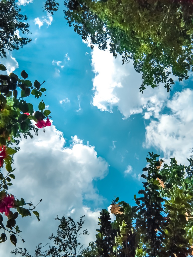 Sky and greenery - PixaHive