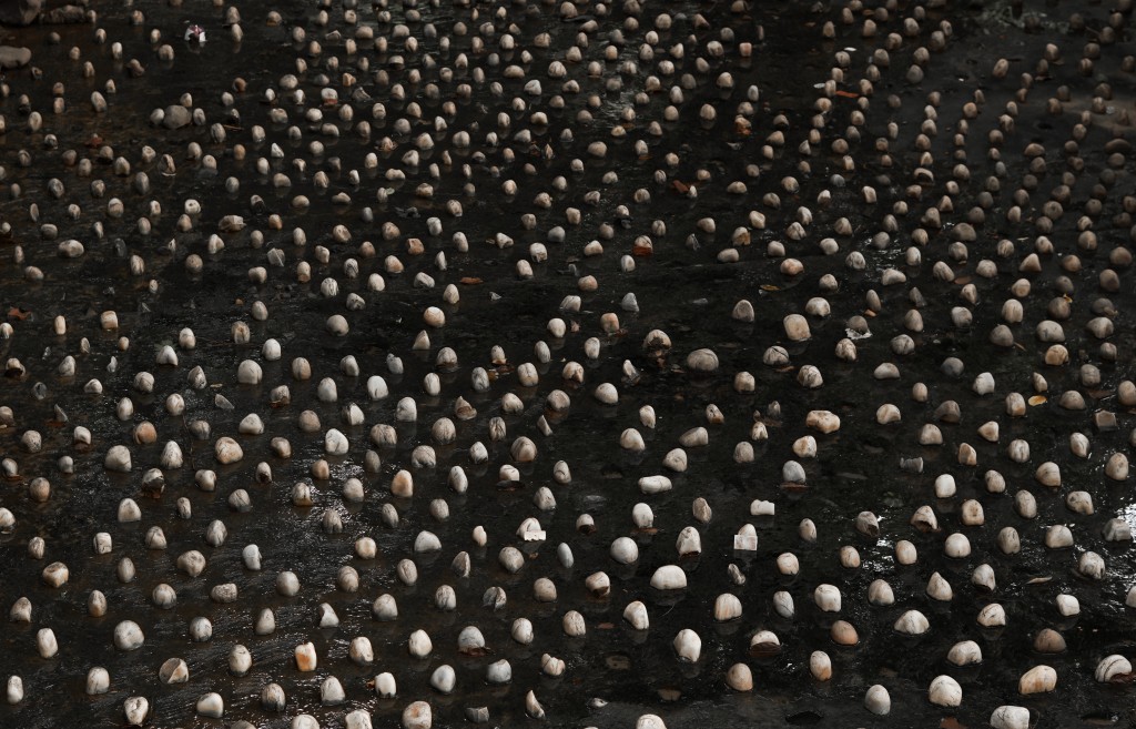 Stones design - PixaHive