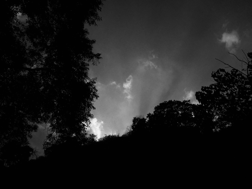 Sunset under trees - PixaHive