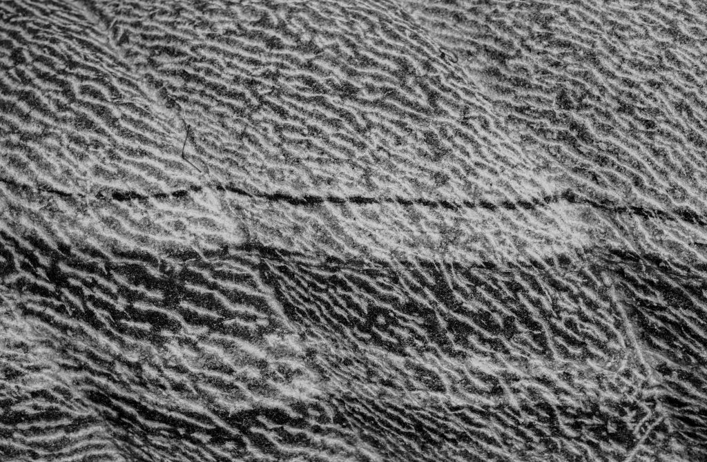 Texture art on stone - PixaHive