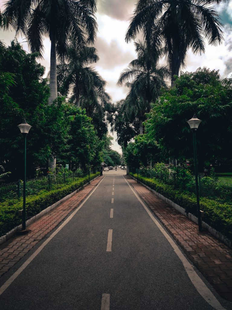 A Long Street Road - PixaHive