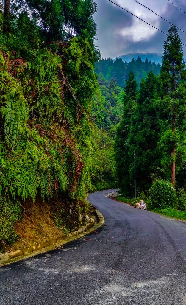 A Road in a Tropical Forest - PixaHive
