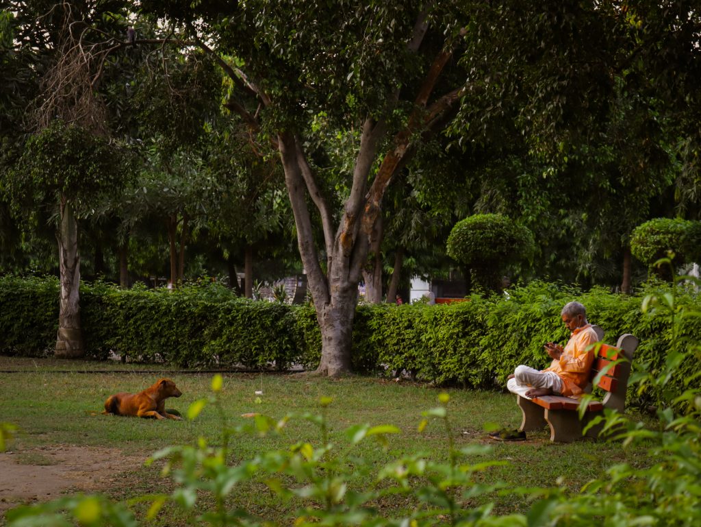 A scene from the park - PixaHive