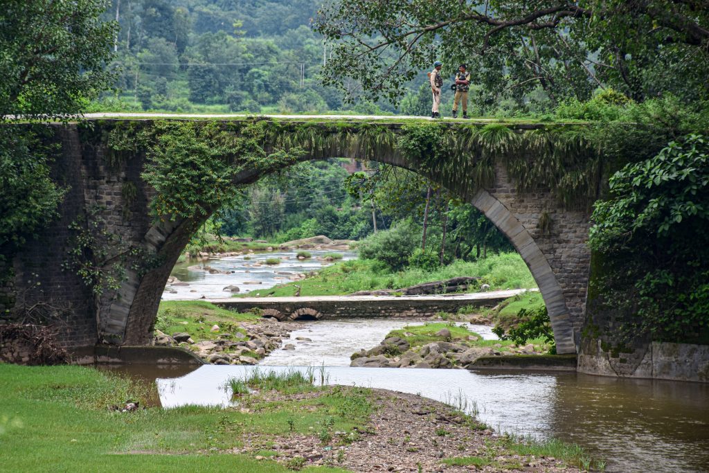 An old Jungle bridge - PixaHive