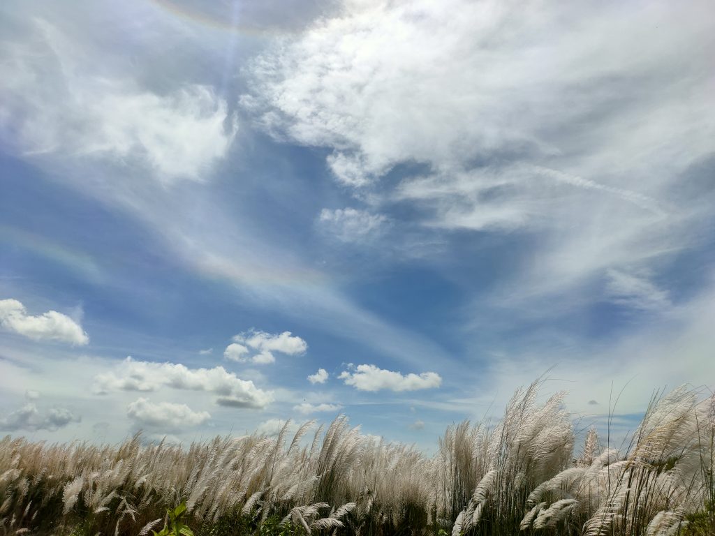 Autumn clouds - PixaHive