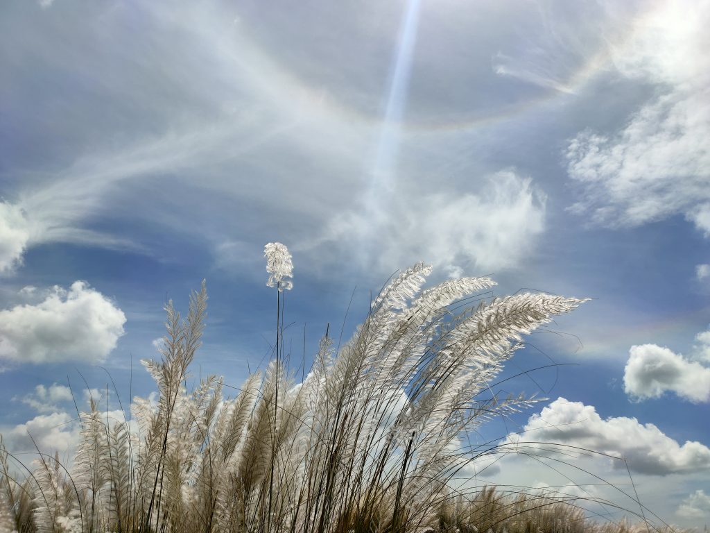 Autumn clouds - PixaHive