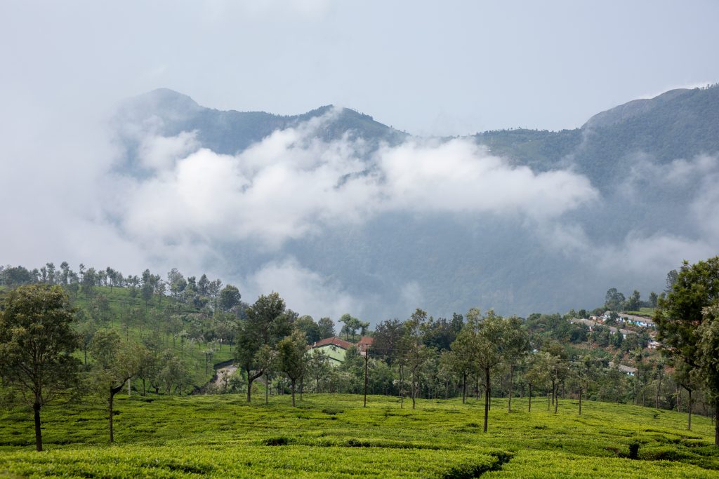 Beauty of a hill station - PixaHive