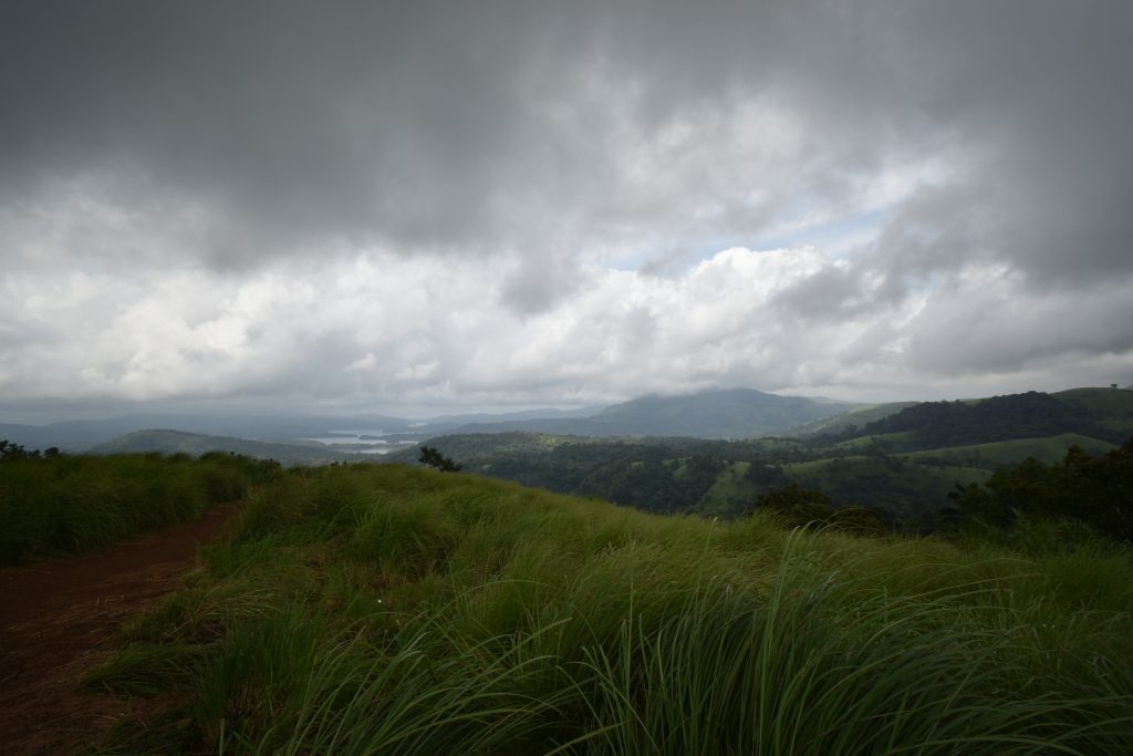 Breezy sceneries - PixaHive