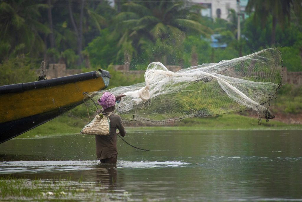Catching the net - PixaHive