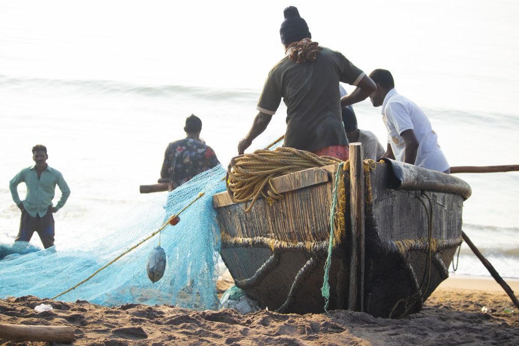 Cleaning the nets - PixaHive