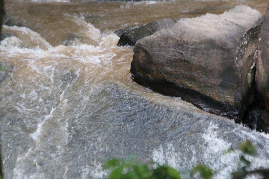 Clear Stream - PixaHive