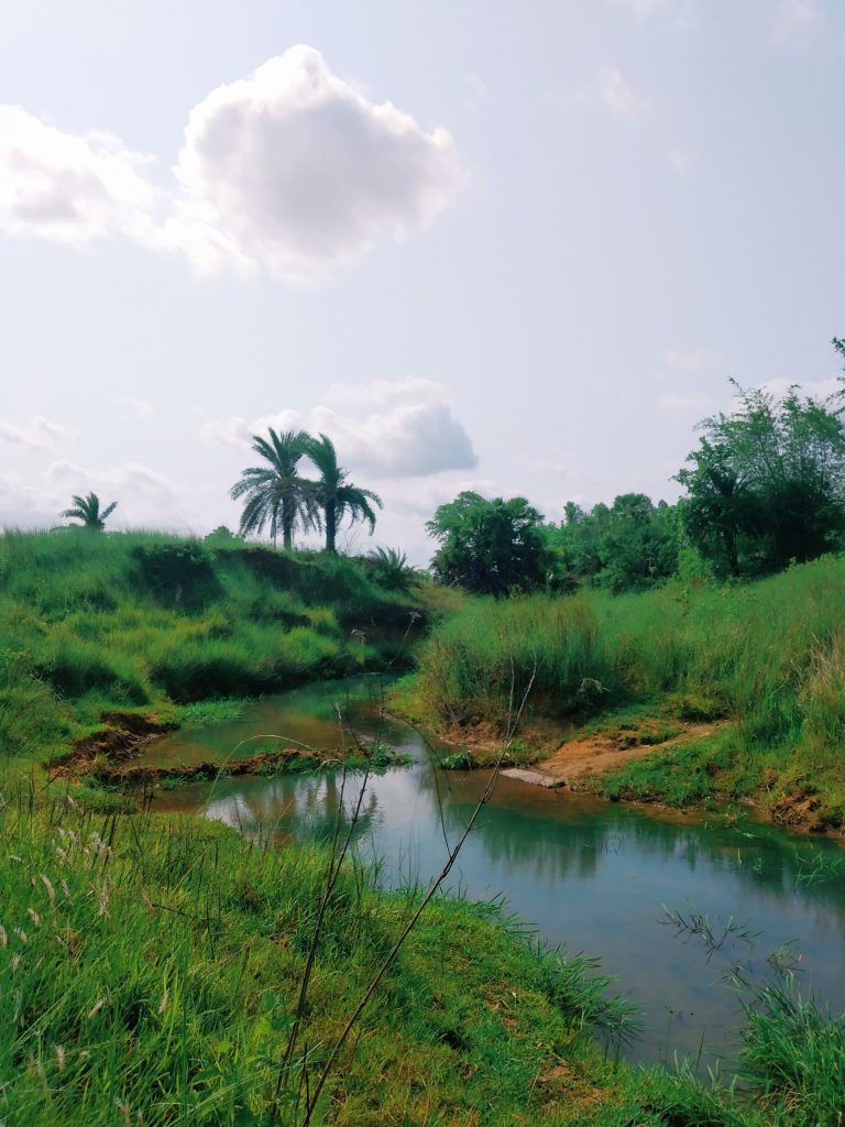 Cloudy Tropical Landscape - PixaHive