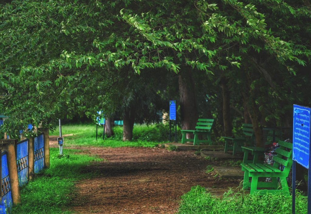 Country Park - PixaHive