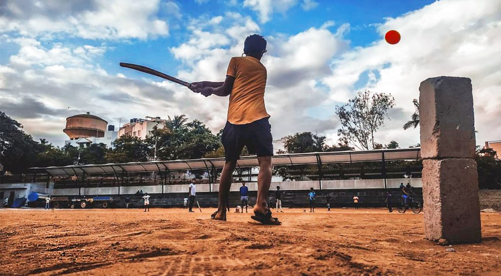 Cricket Shot - PixaHive