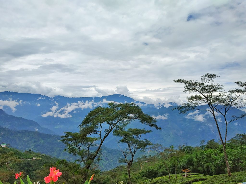 Darjeeling Hills - PixaHive