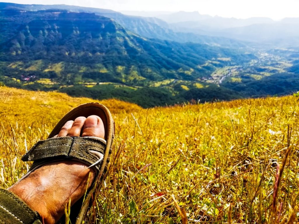 Down to earth - PixaHive