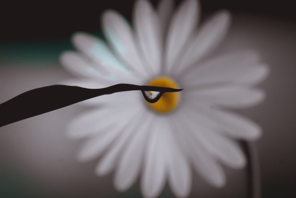 Drop Reflection - PixaHive