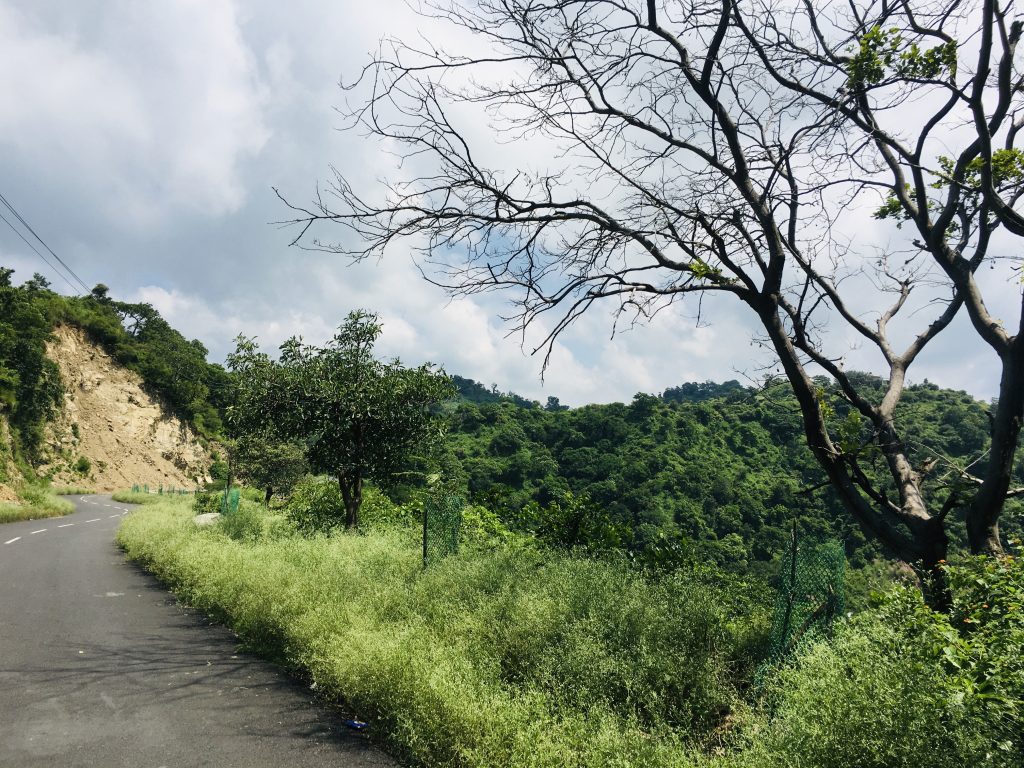 Empty mountain road - PixaHive