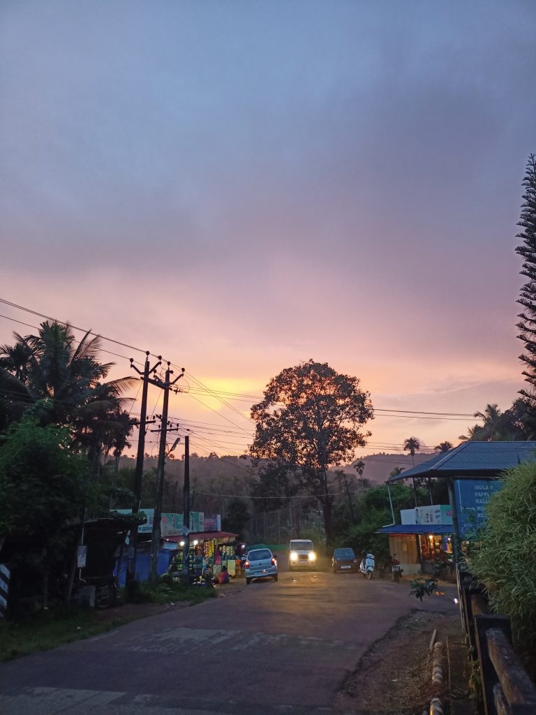 Evening light - PixaHive