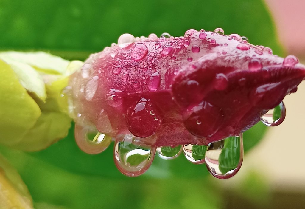 Every drop counts - PixaHive