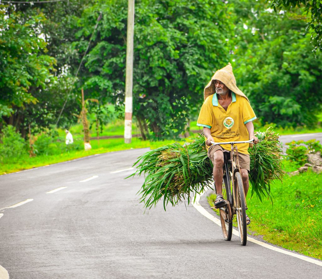 Farmer riding bicycle carrying his harvested crops - PixaHive
