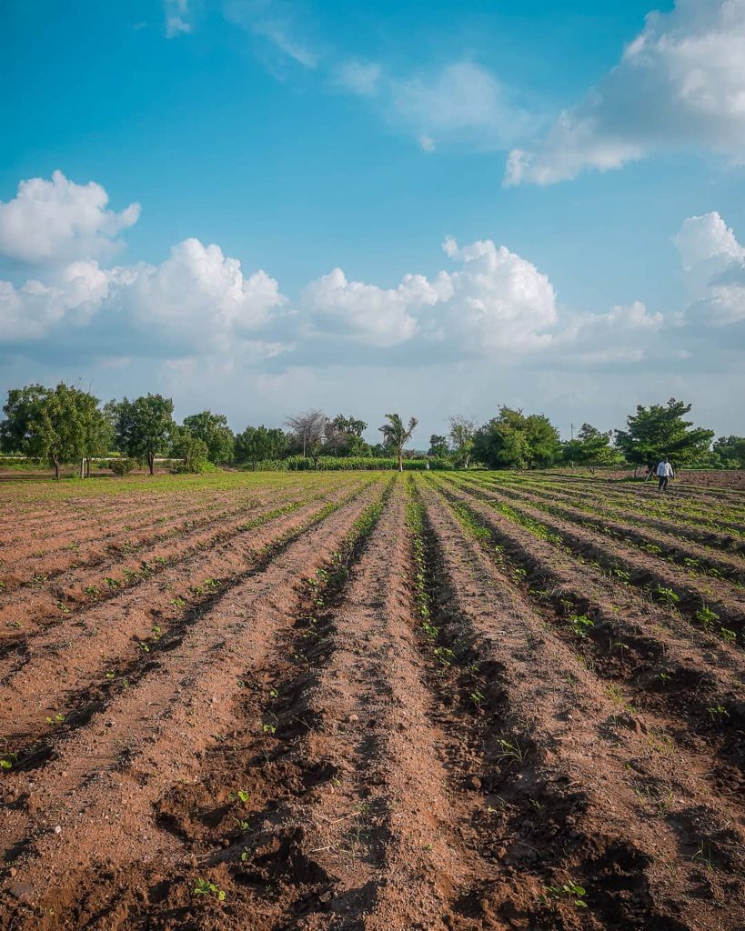 Farming fields - PixaHive