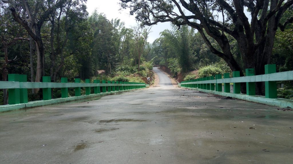 Forest Bridge and Trail - PixaHive