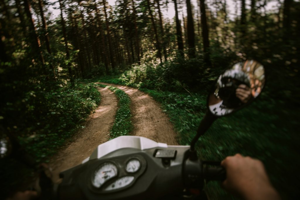 Forest Drive - PixaHive