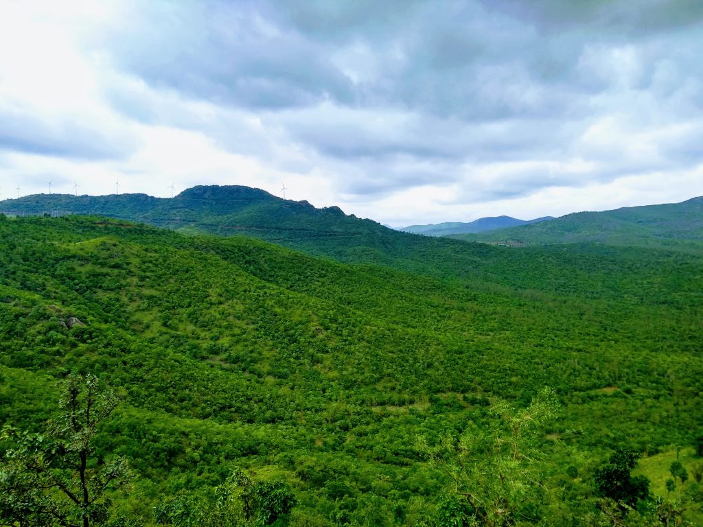 Forest cover of mountains - PixaHive