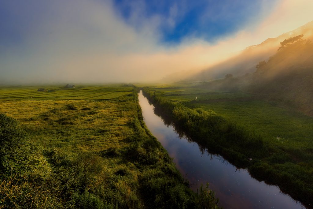 Golden sunlight over a river - PixaHive
