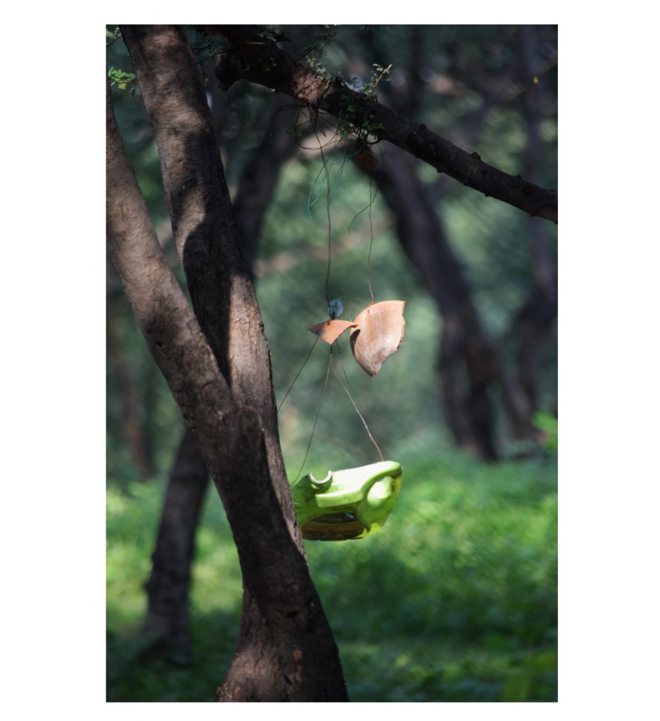Objects hanging with a tree - PixaHive